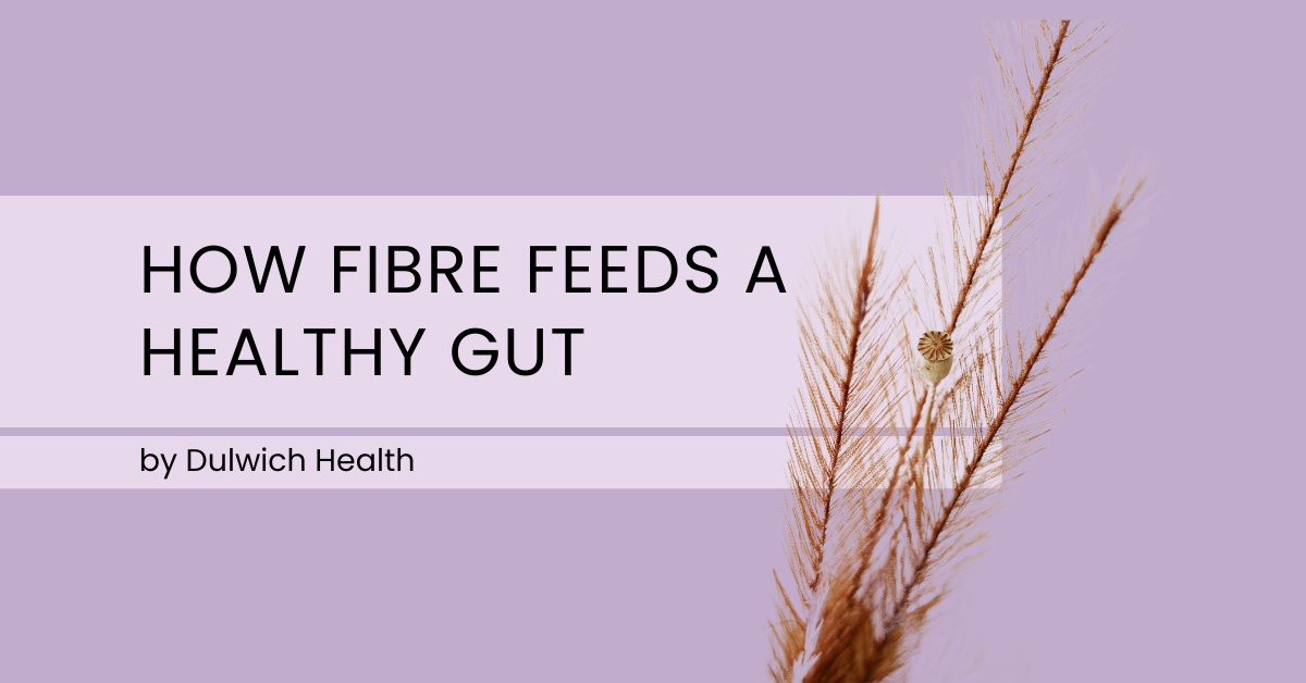 How Fibre Feeds a Healthy Gut – Dulwich Health